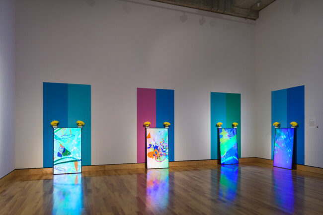 Solo Exhibition – The Rooms – Chun Hua Catherine Dong